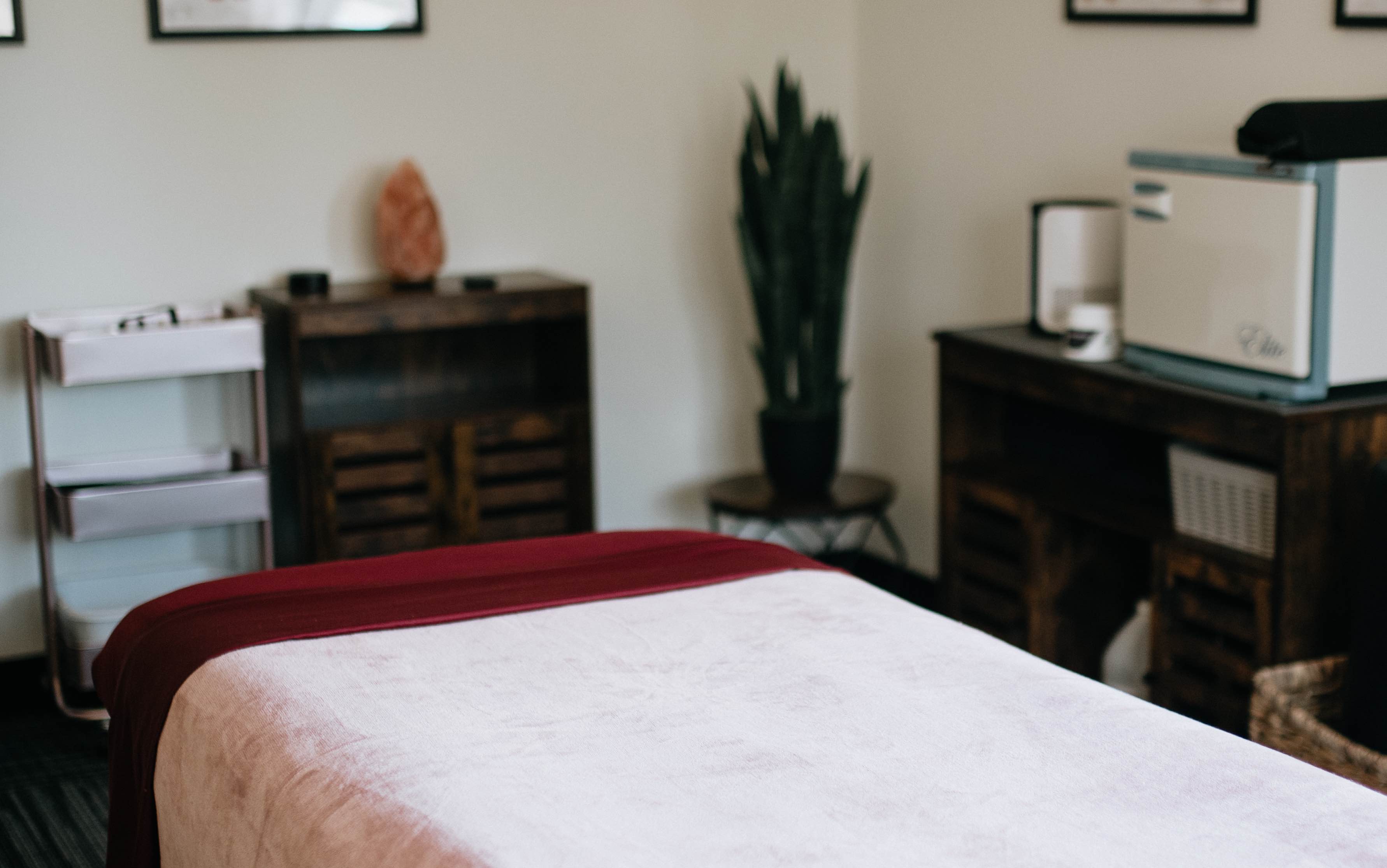 Annie Coleman Massage Savage MN